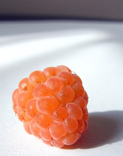 glowing berry - The Dabble